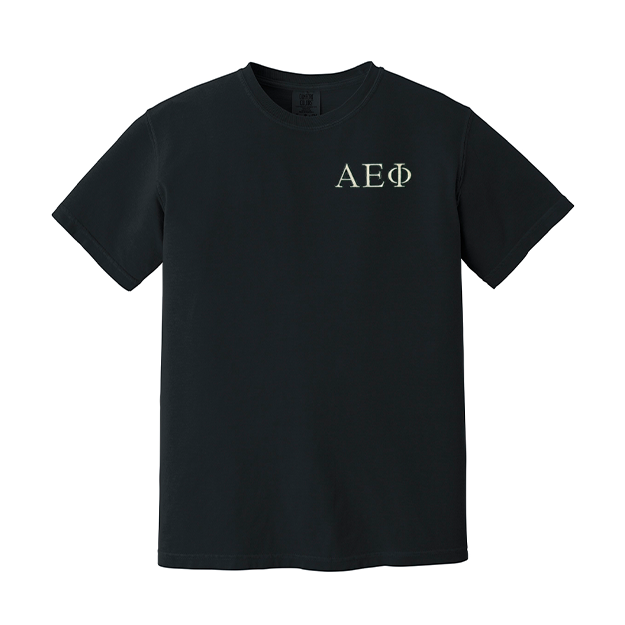 Alpha Epsilon Phi Sorority Comfort Colors Embroidered Greek Letter T-s ...