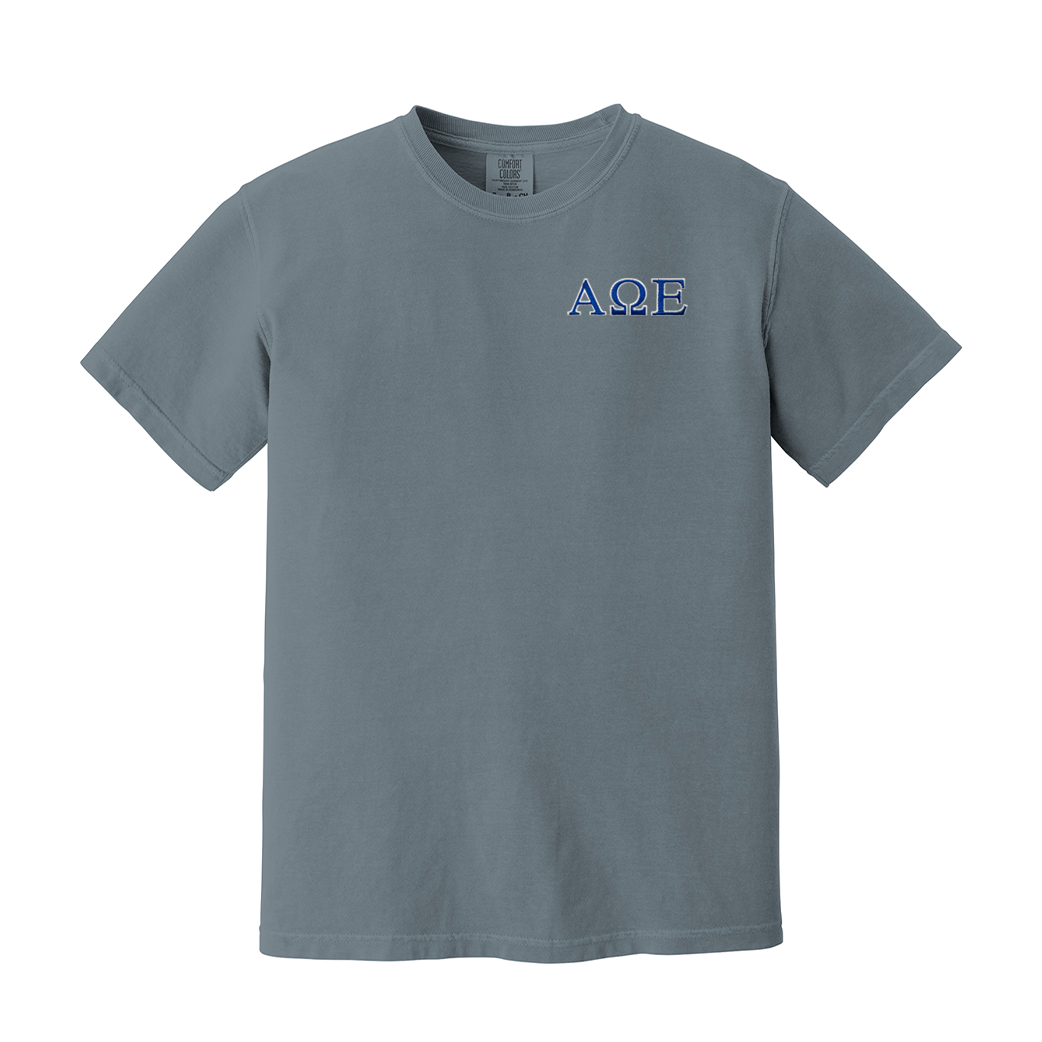 Alpha Omega Epsilon Sorority Comfort Colors Embroidered Greek Letter T ...